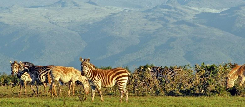 Geography - Visit Kenya – Home of Safari